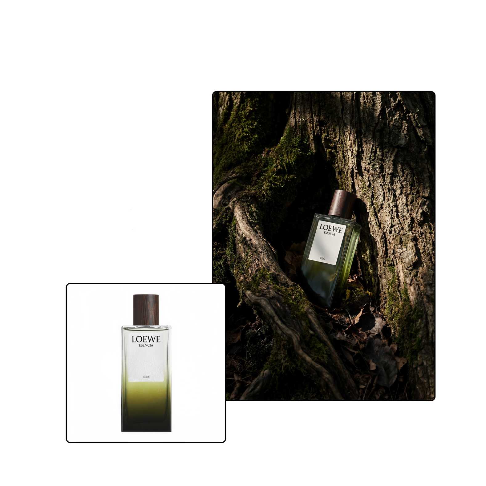 Claid: AI product photography and fashion photo editor | Backgrounds ...